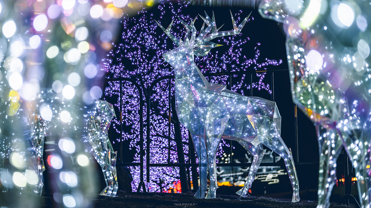 毕竟几人真得鹿 不知终日梦为鱼🏮_沈忘言-站酷ZCOOL