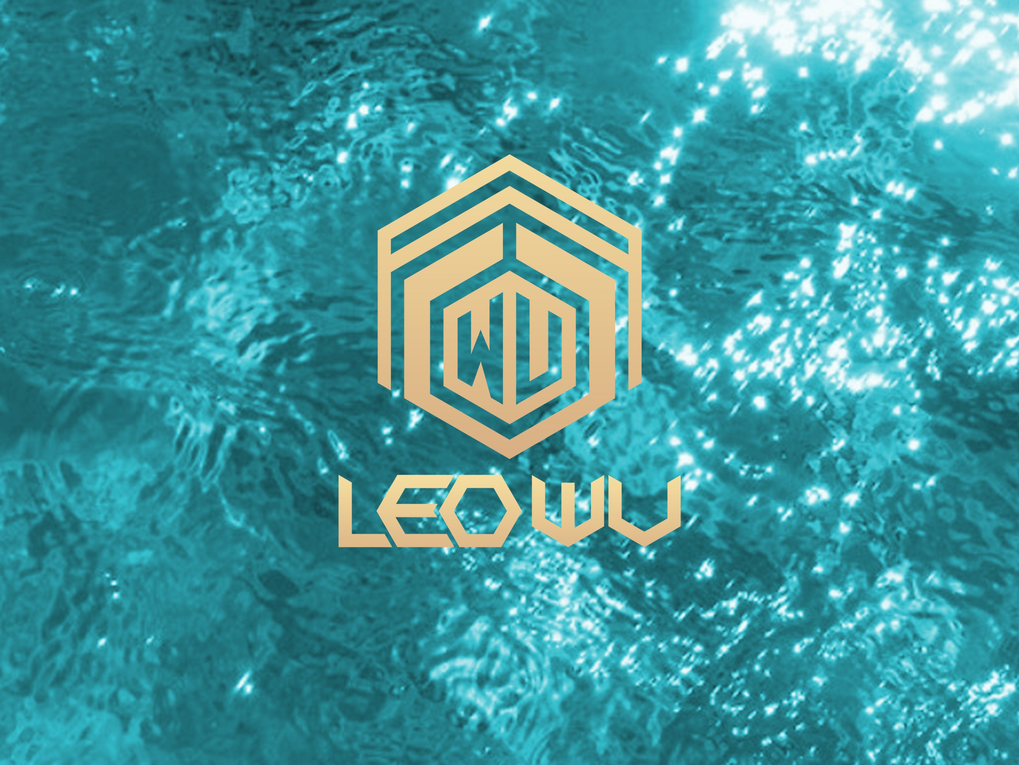 LeoWu个人IP创意品牌VI_LeoWu_设计师-站酷ZCOOL