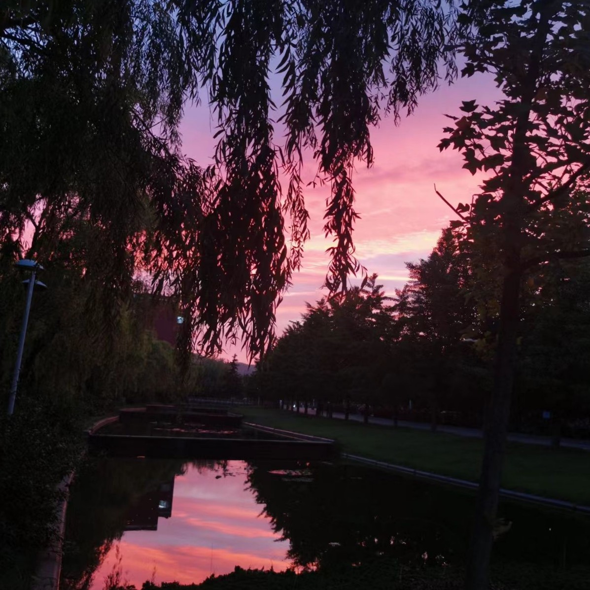 Shawn_rd创作者主页_上海UI设计师-站酷ZCOOL