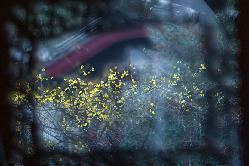 暗香疏影_一切kkk-站酷ZCOOL