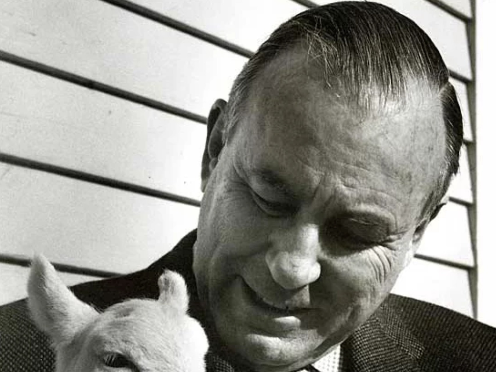 人物|Lester Beall_HYPERSHARE-站酷ZCOOL