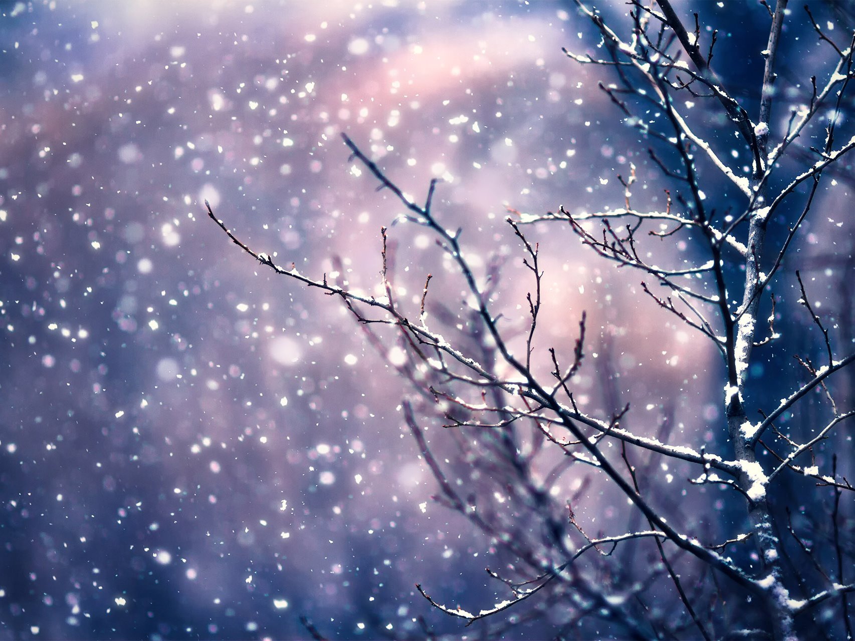 又一次四季轮回_amhx-站酷ZCOOL