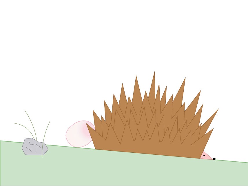 蛋的冒险_星期四thurscat-站酷ZCOOL