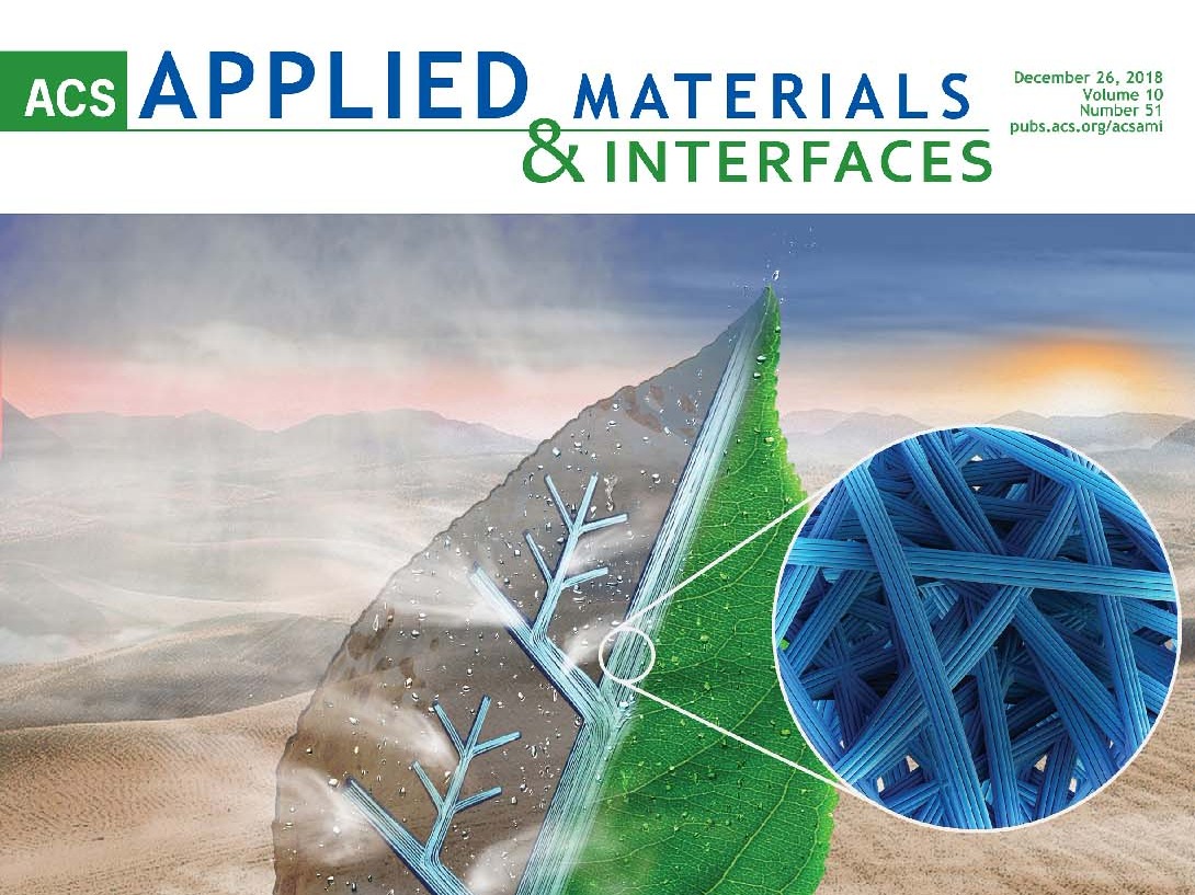 ACS AMI 华中科大 科研论文配图设计 SCI学术期刊封面 _邦图文化-站酷ZCOOL