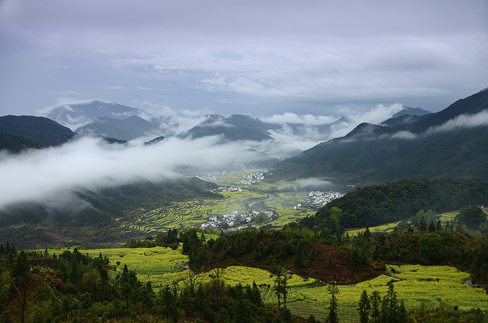 雨中婺源|摄影|风光摄影|lambert_chen_原创作品-站酷(ZCOOL)