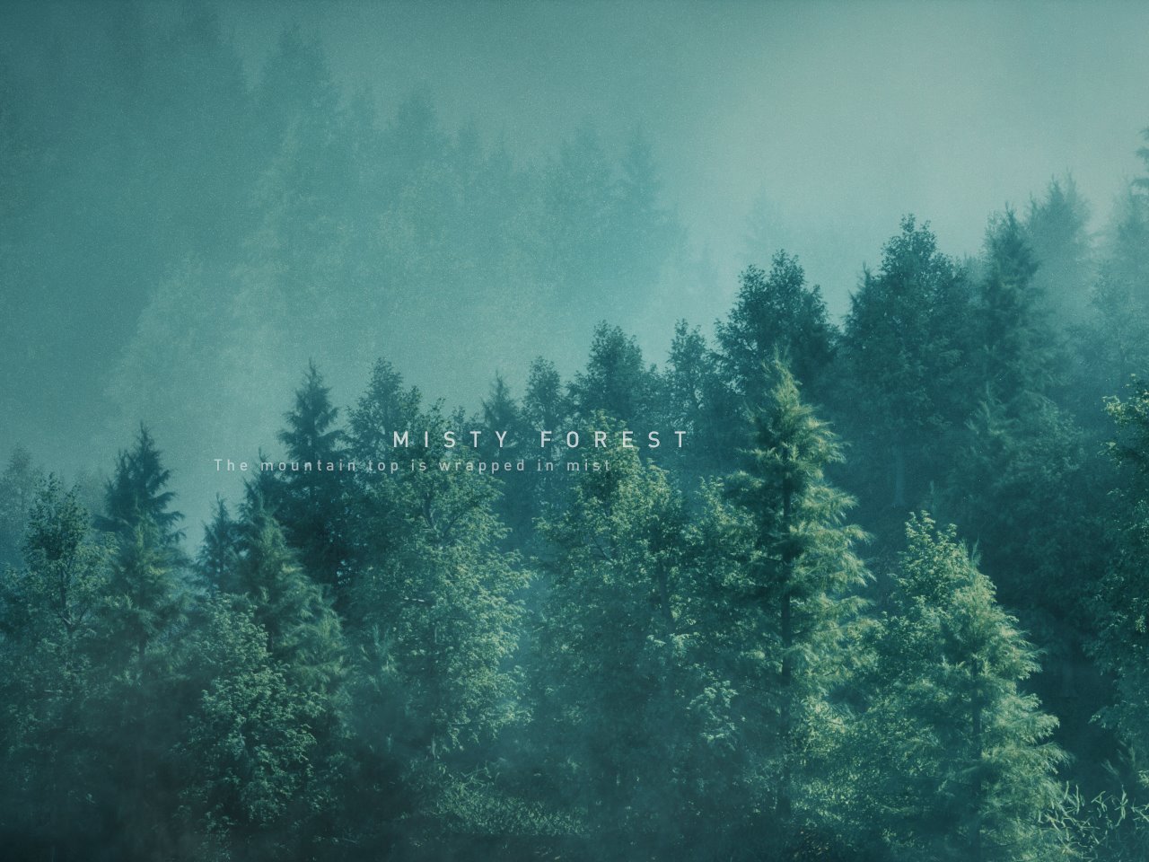 MISTY FOREST 迷雾森林_LITI热成像-站酷ZCOOL