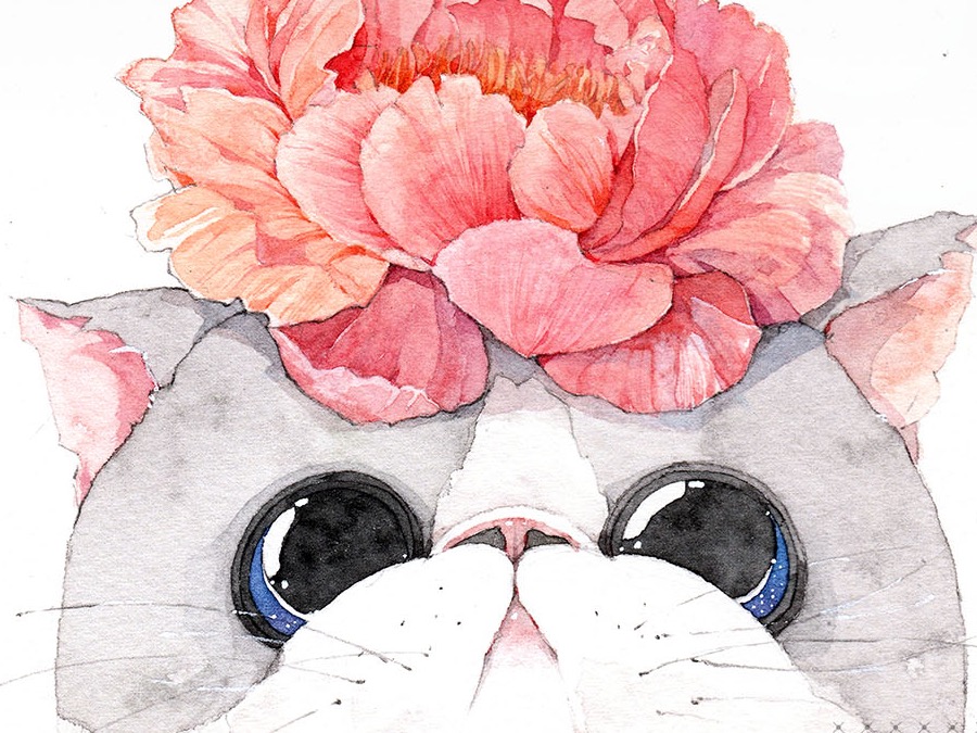 喵～_玉米呀yumia-站酷ZCOOL