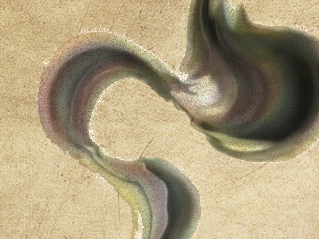 思绪飞_鸟人月玉石艺术-站酷ZCOOL