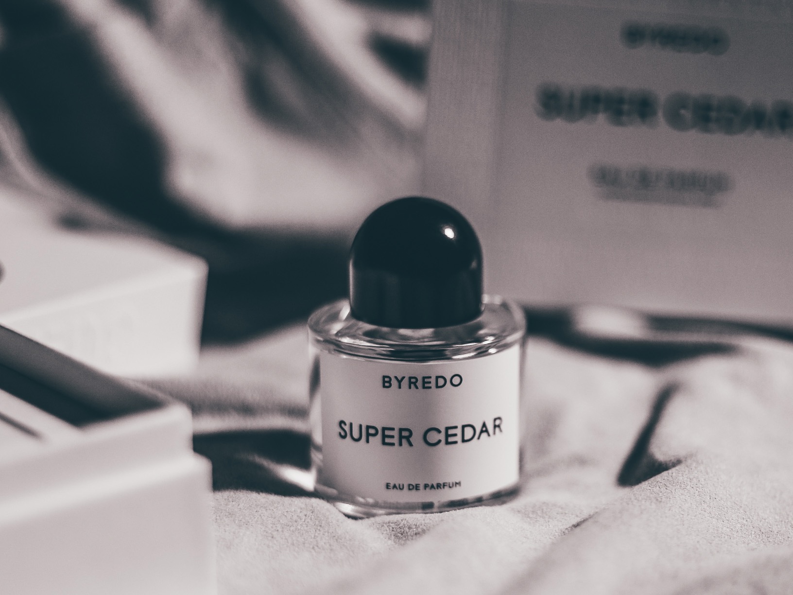 闻香丨超级雪松_季铭乙-站酷ZCOOL