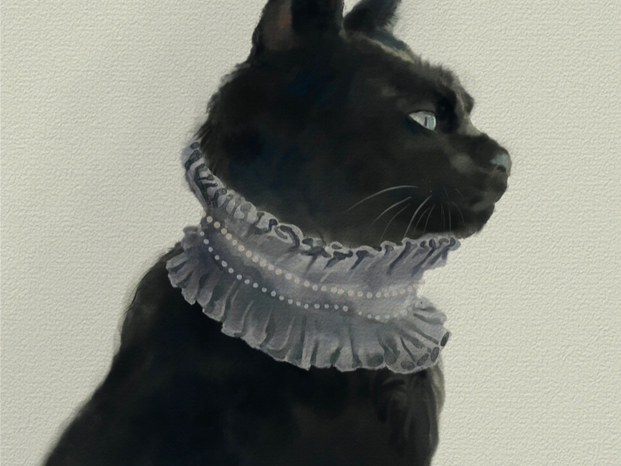 黑猫_铃央央-站酷ZCOOL