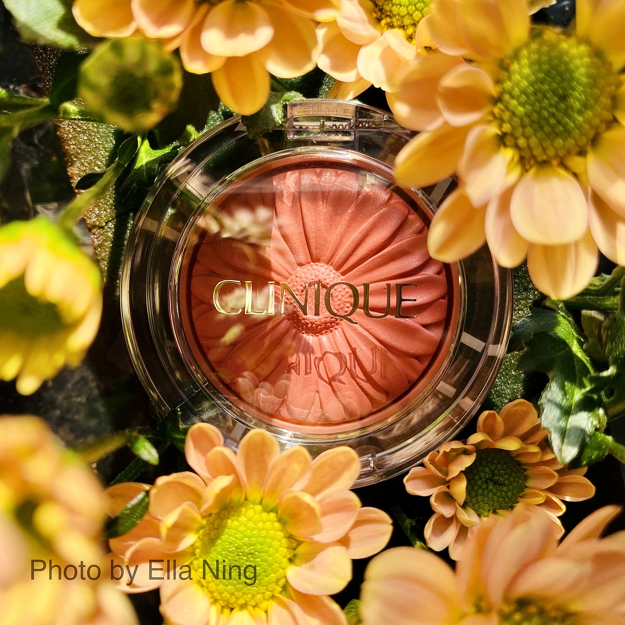 拍摄 倩碧腮红_Ella_Ning-站酷ZCOOL