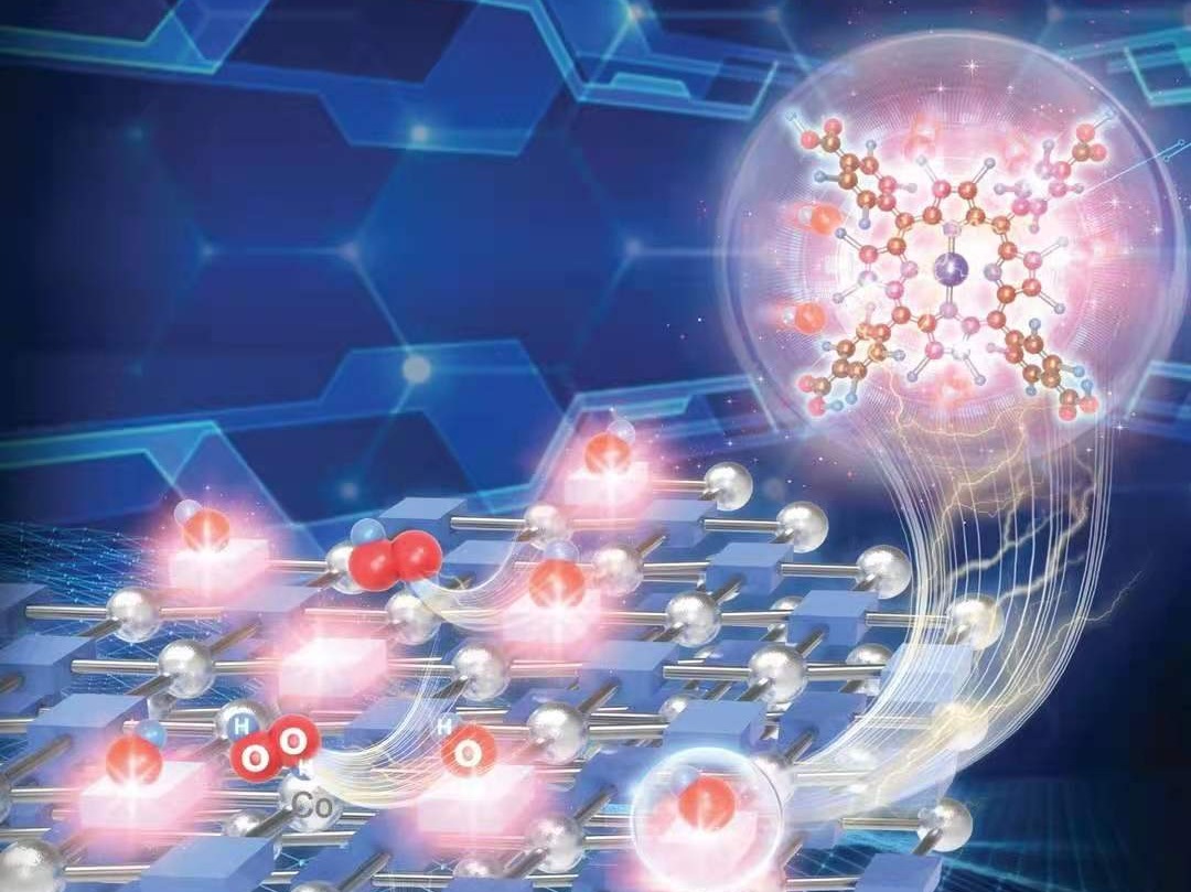 杂志封面设计科研画图TOC示意图学术文章配图SCI绘图_科研动画-站酷ZCOOL