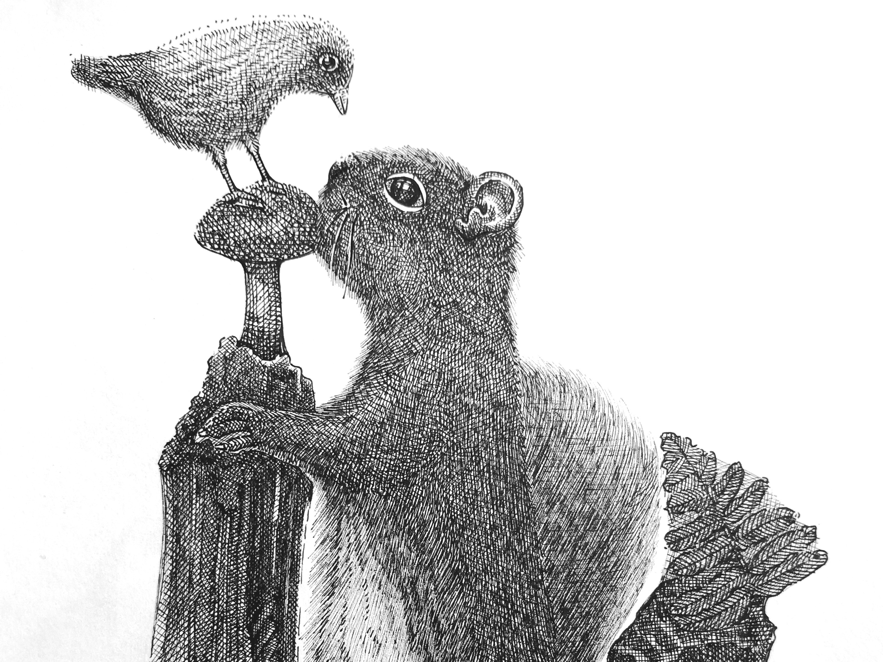 练习_TRAMP_GF-站酷ZCOOL