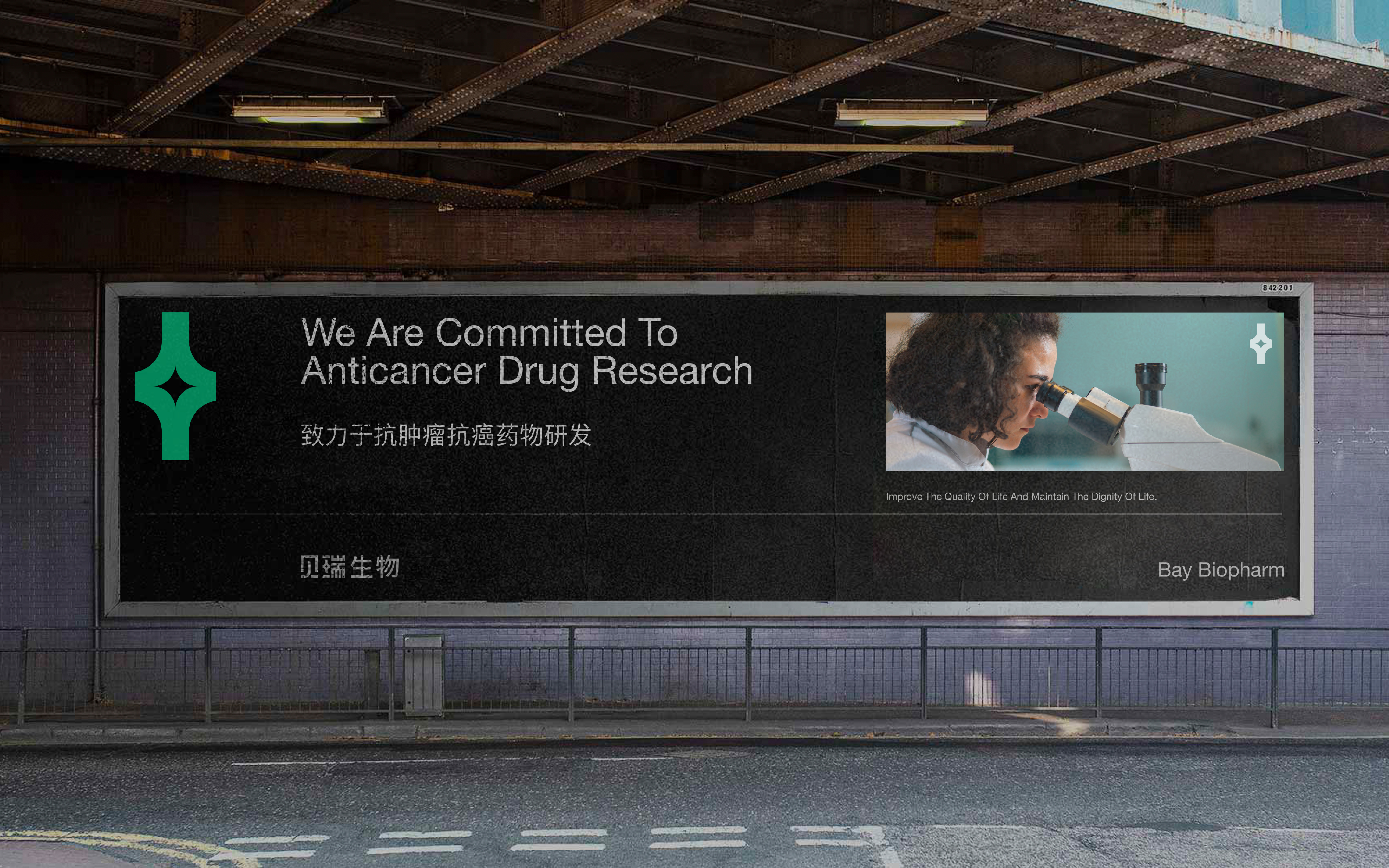 贝瑞生物 BAY BIOPHARM｜致力于抗肿瘤抗癌药物研发_Ganganstudio-站酷ZCOOL