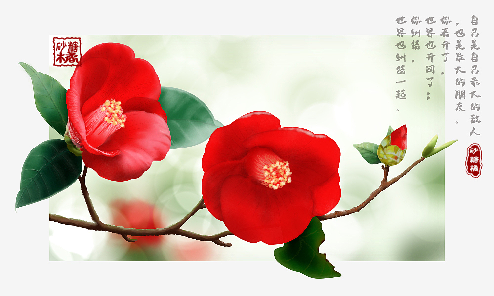 红山茶花_砂糖橘JUJU-站酷ZCOOL