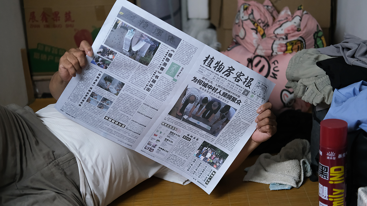 社区营造设计项目｜植物房客_3883號房客-站酷ZCOOL