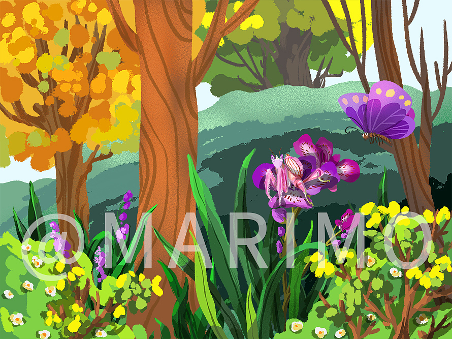 科普儿插绘本《达尔文》_Marimo玛莉莫-站酷ZCOOL