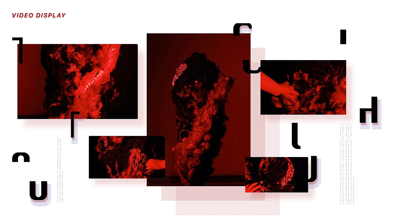 作品集——MEIAO MIAO_无用之用方为大用-站酷ZCOOL