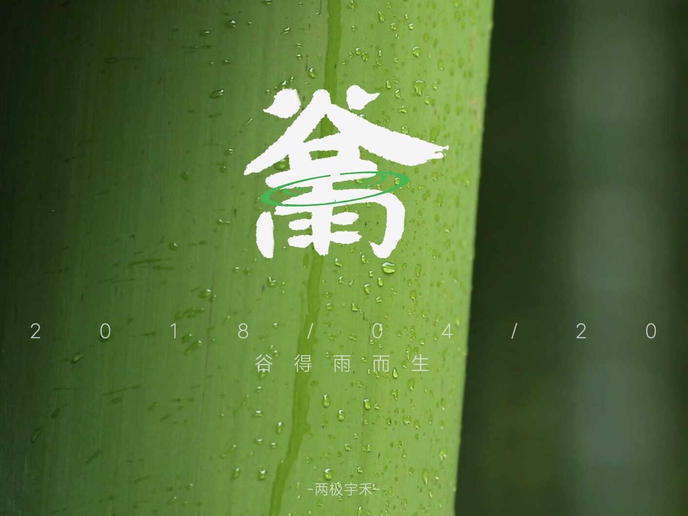 两极影视节气视频-谷雨_两极BIPOR-站酷ZCOOL