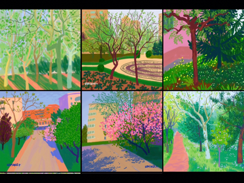 石家庄的春天_RBH假装是艺术家-站酷ZCOOL