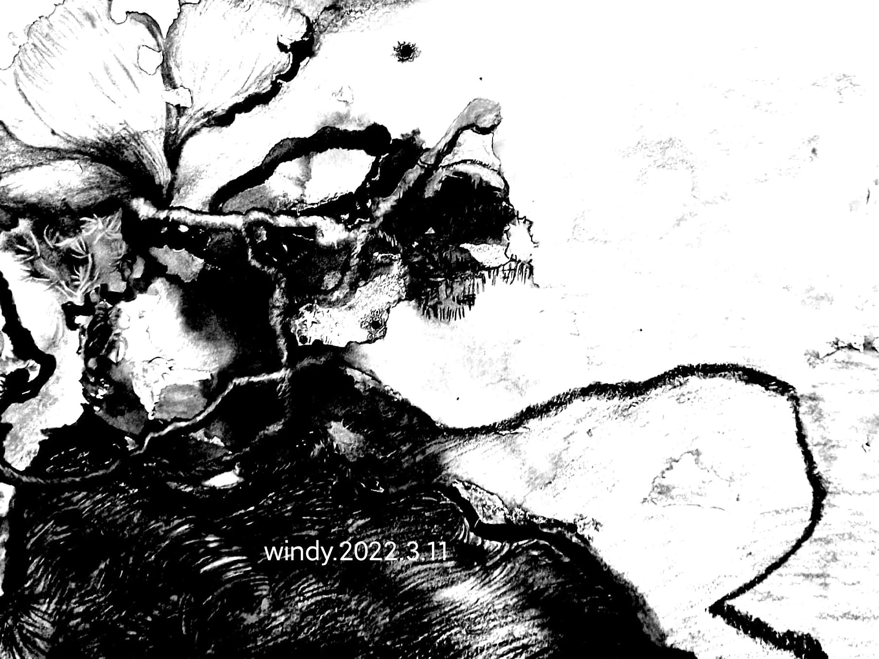 水中花_windy孤鸪鼓固-站酷ZCOOL