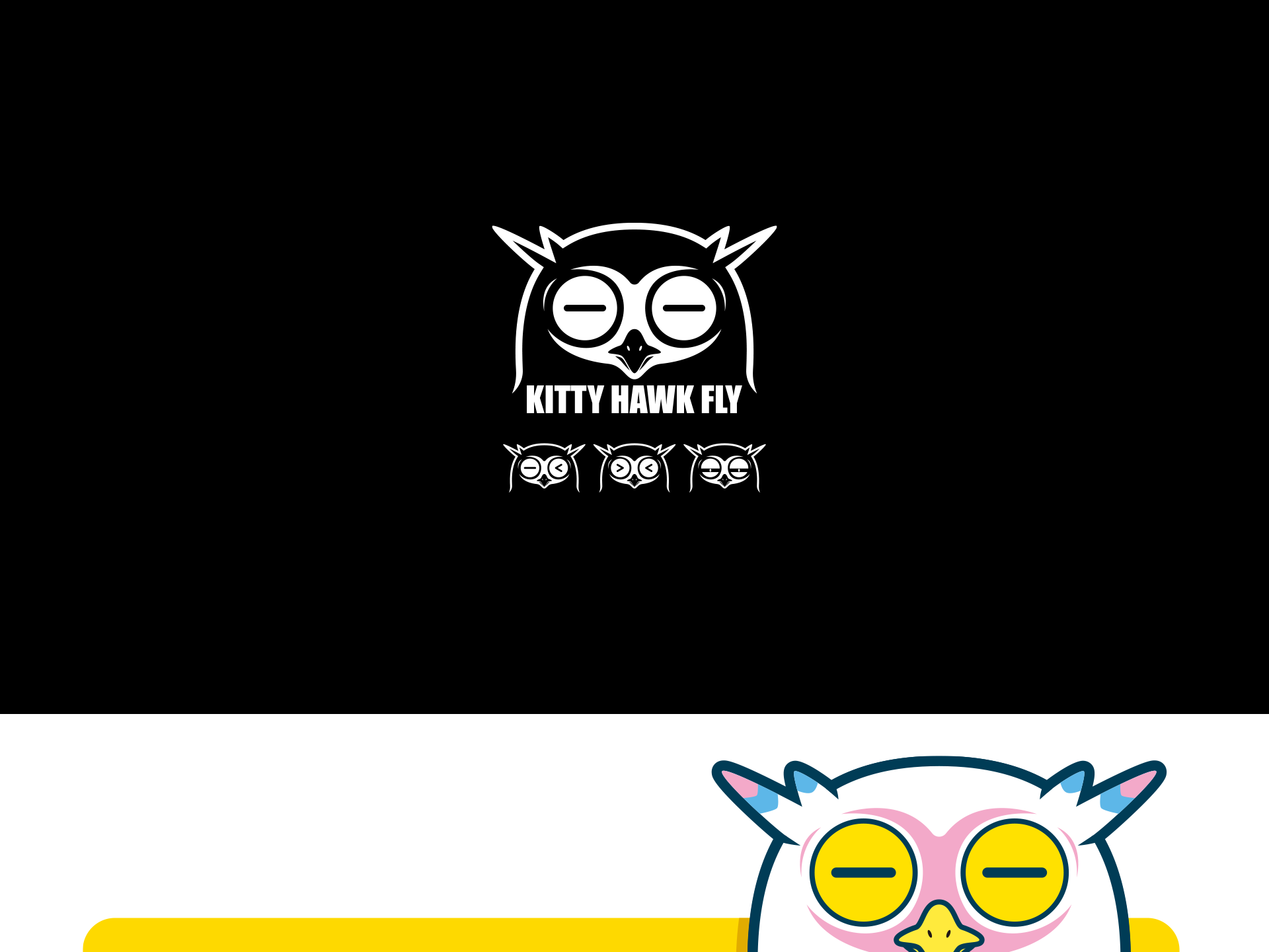 猫鹰小飞-Kitty Hawk fly_九橘EEr-站酷ZCOOL