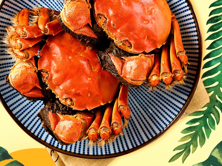 详情_大河在哪里-站酷ZCOOL