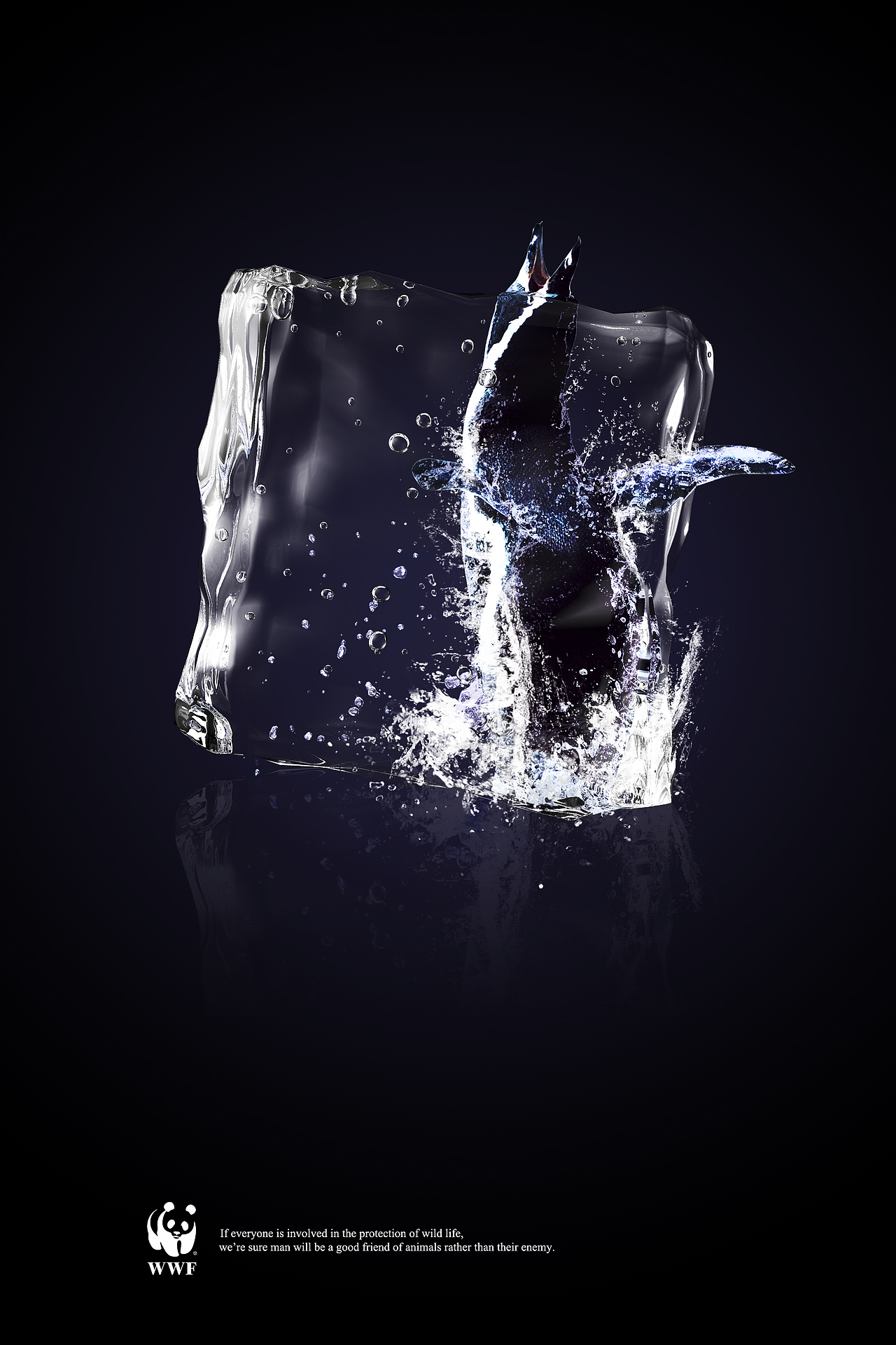 WWF公益海报_MRSAMSON-站酷ZCOOL