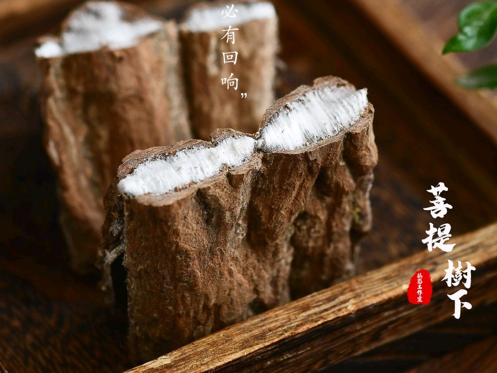 杜仲_摄影师陈茂辉-站酷ZCOOL