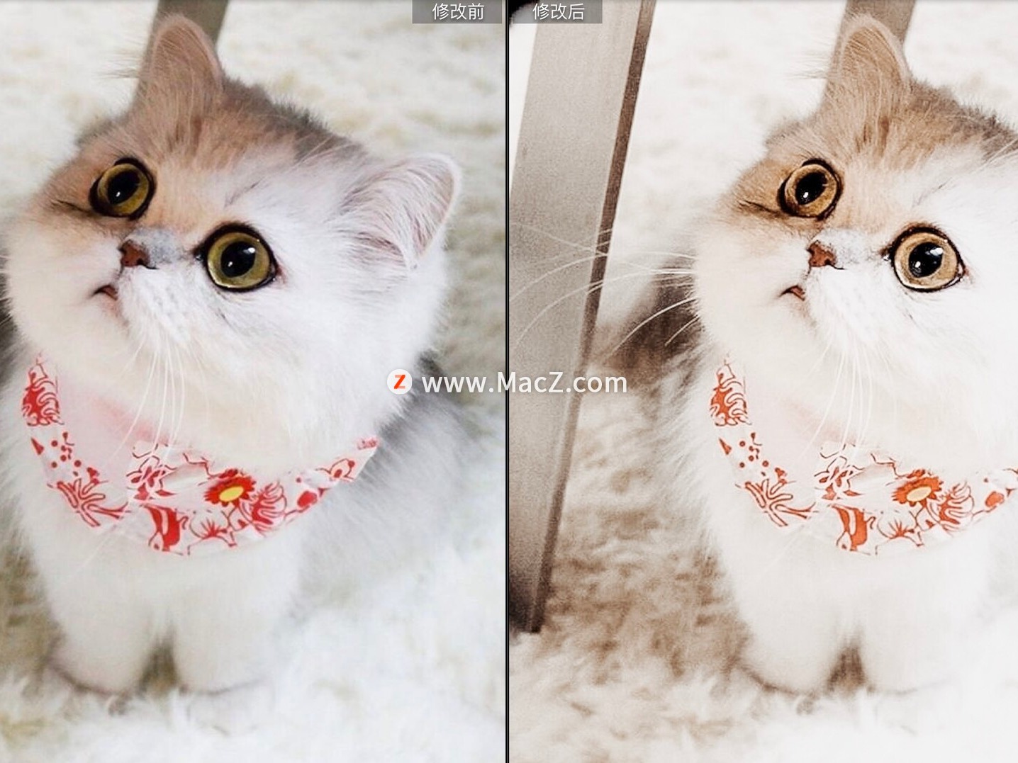 网红ins风柔和裸色照片滤镜Lr预设_星星星辰大海-站酷ZCOOL