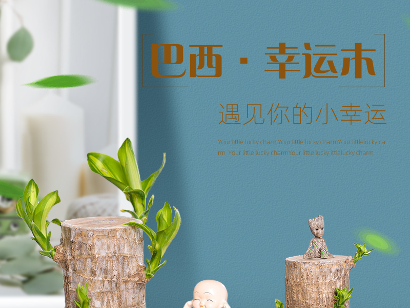 最近作品整理__Sunx-站酷ZCOOL