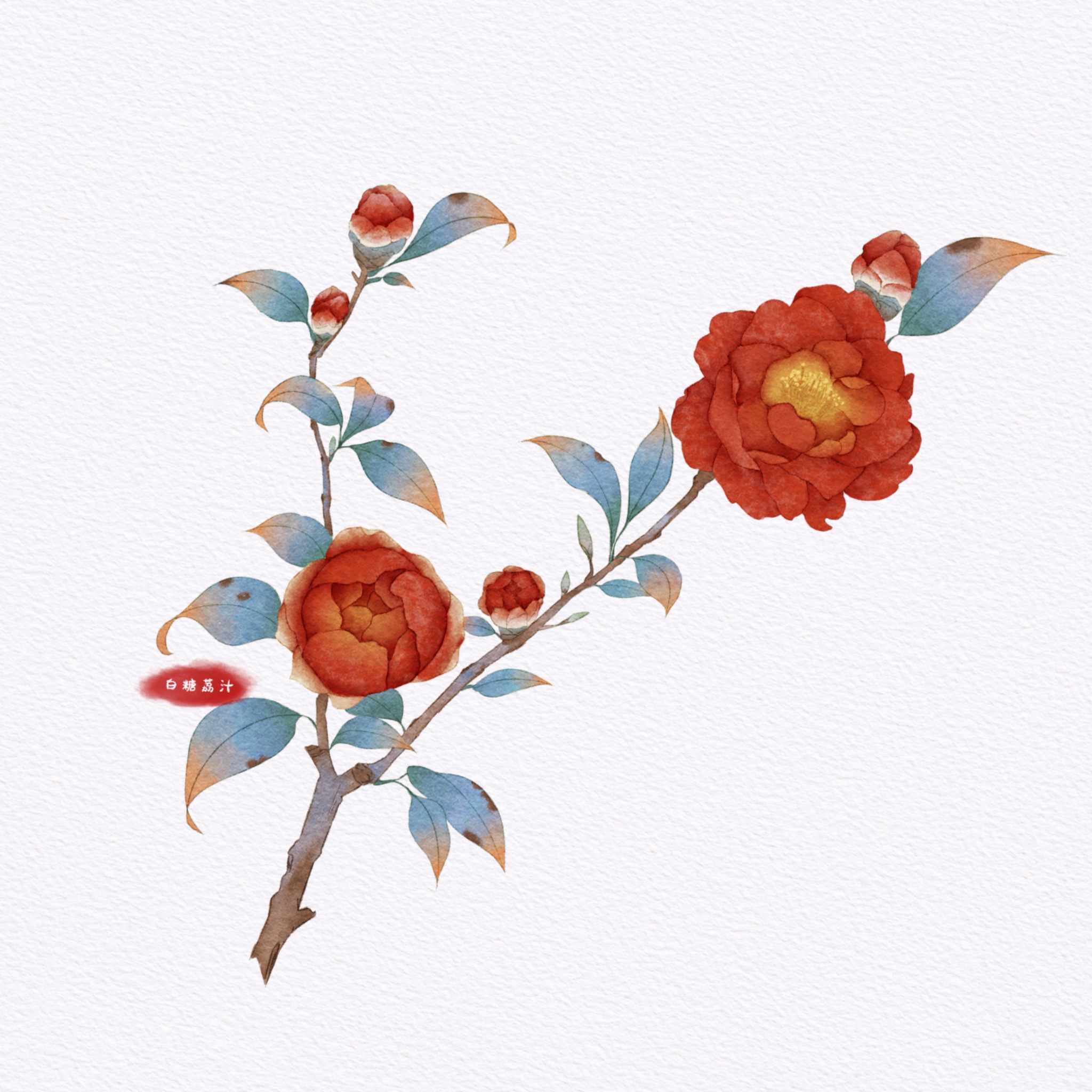 山茶花2_白糖荔汁-站酷ZCOOL
