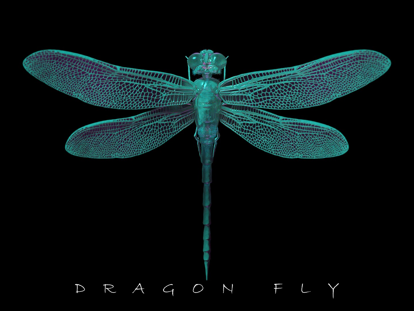 DRAGON FLY_椰律酥-站酷ZCOOL