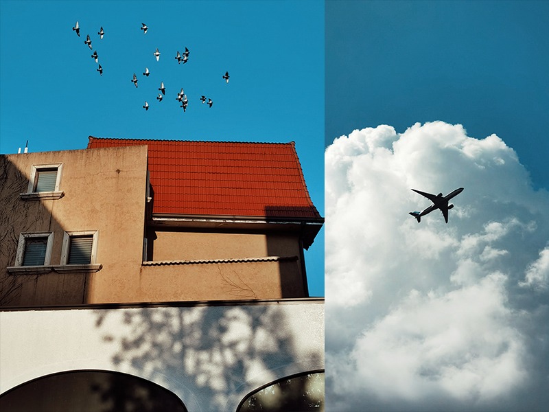 2021 手机摄影记录_ydjd-站酷ZCOOL