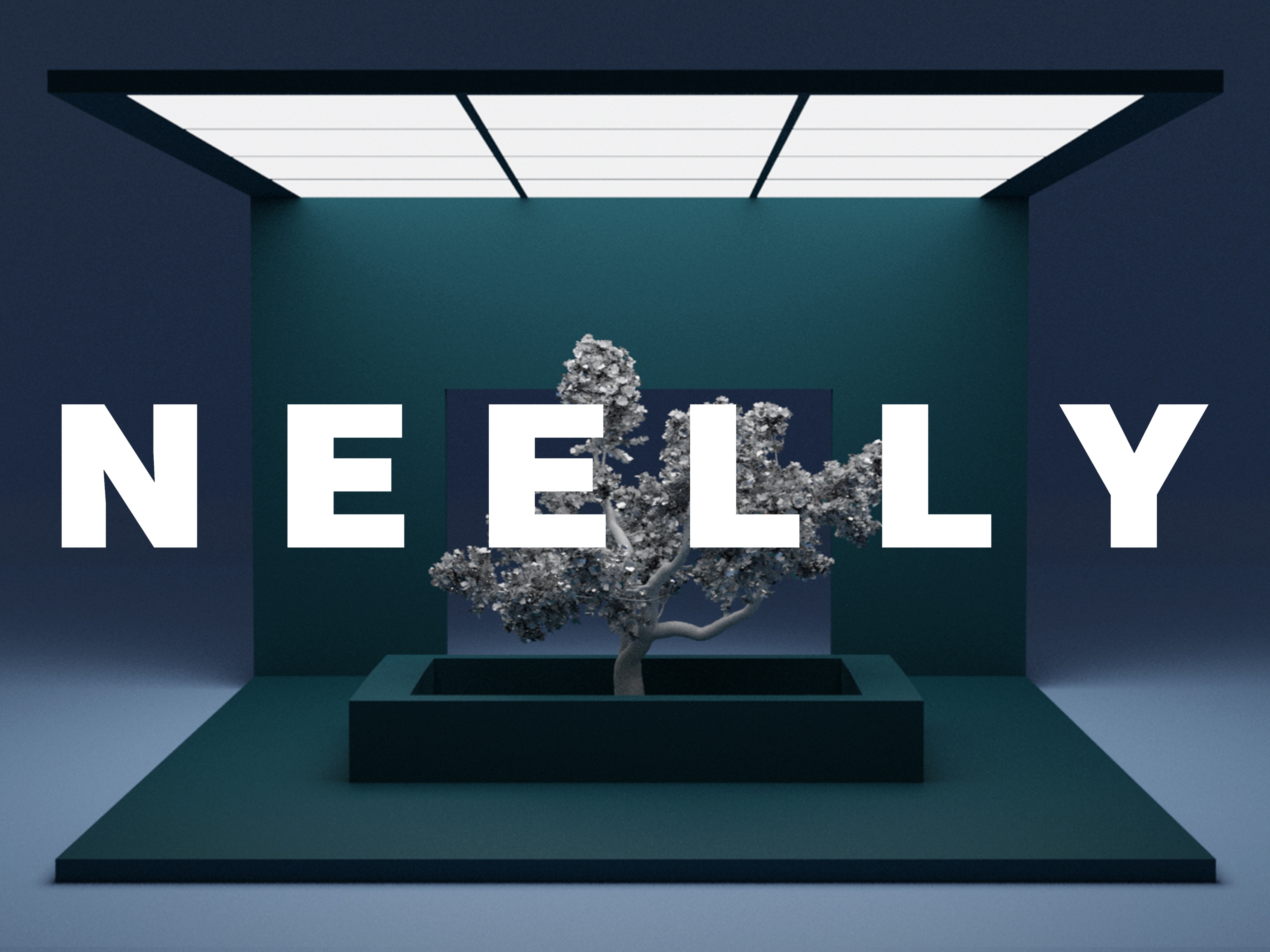 NEELLY 2021 Winter Campaign/大片_燃点文化AIRT-站酷ZCOOL