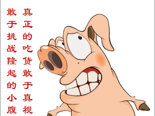 猪猪怪_Fussy-站酷ZCOOL