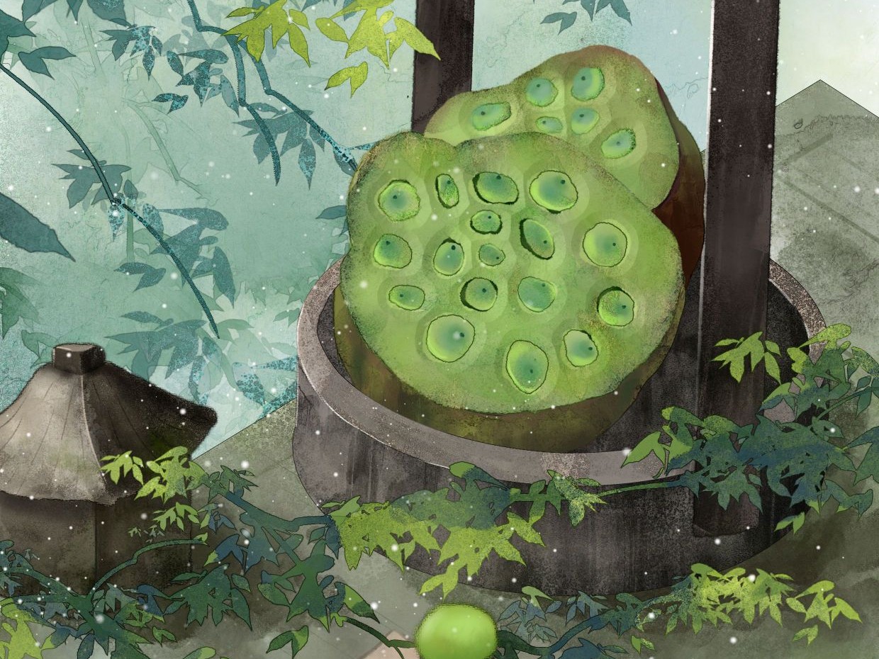 莲蓬_妍羽YanYu-站酷ZCOOL