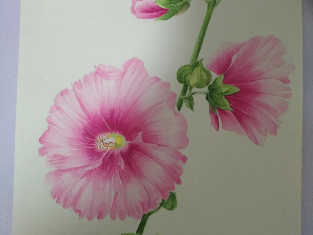 路边的小花也很美_Flora图图麻麻-站酷ZCOOL