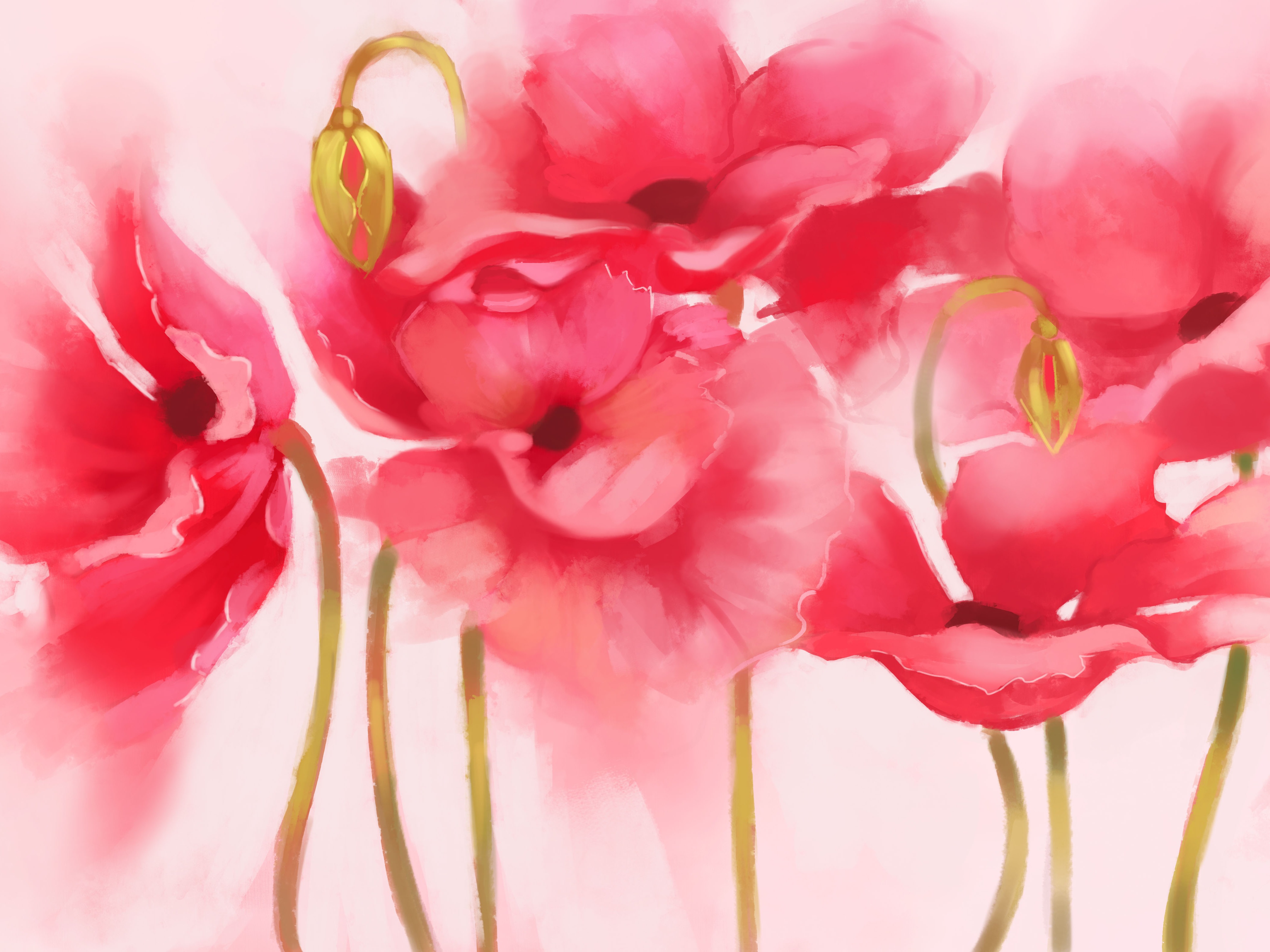 罂粟花装饰画_JLAN峻澜-站酷ZCOOL