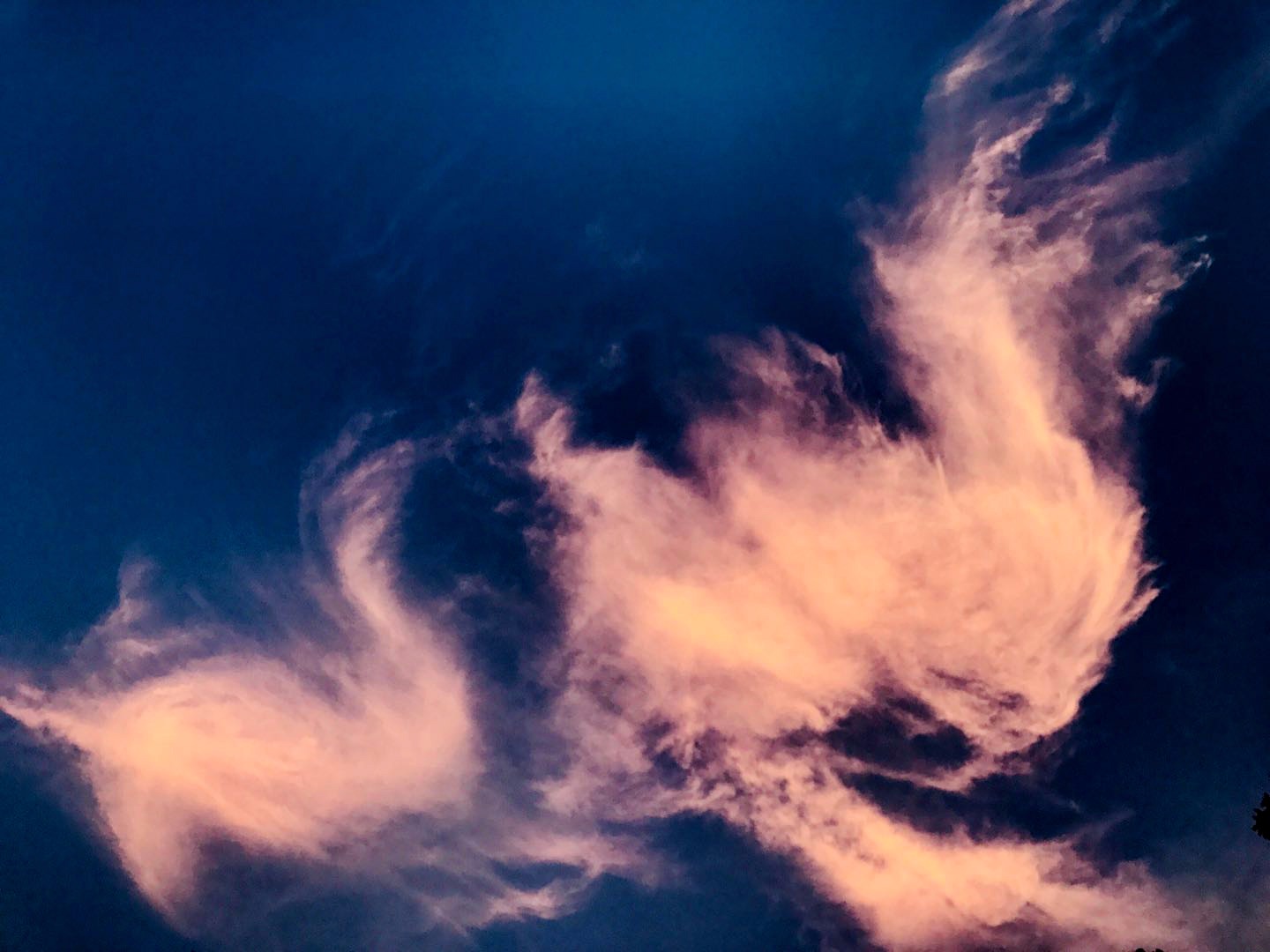 火麒麟_清晨阳光shelly-站酷ZCOOL