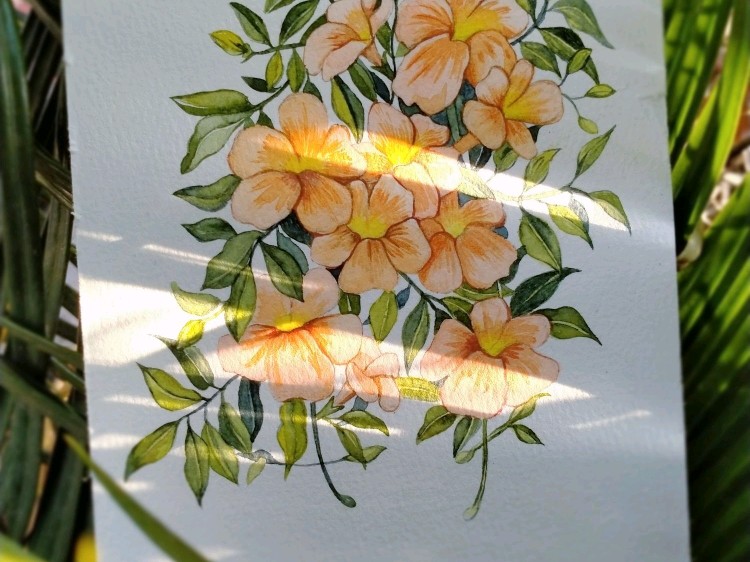 水彩画｜花卉_水彩小恬-站酷ZCOOL