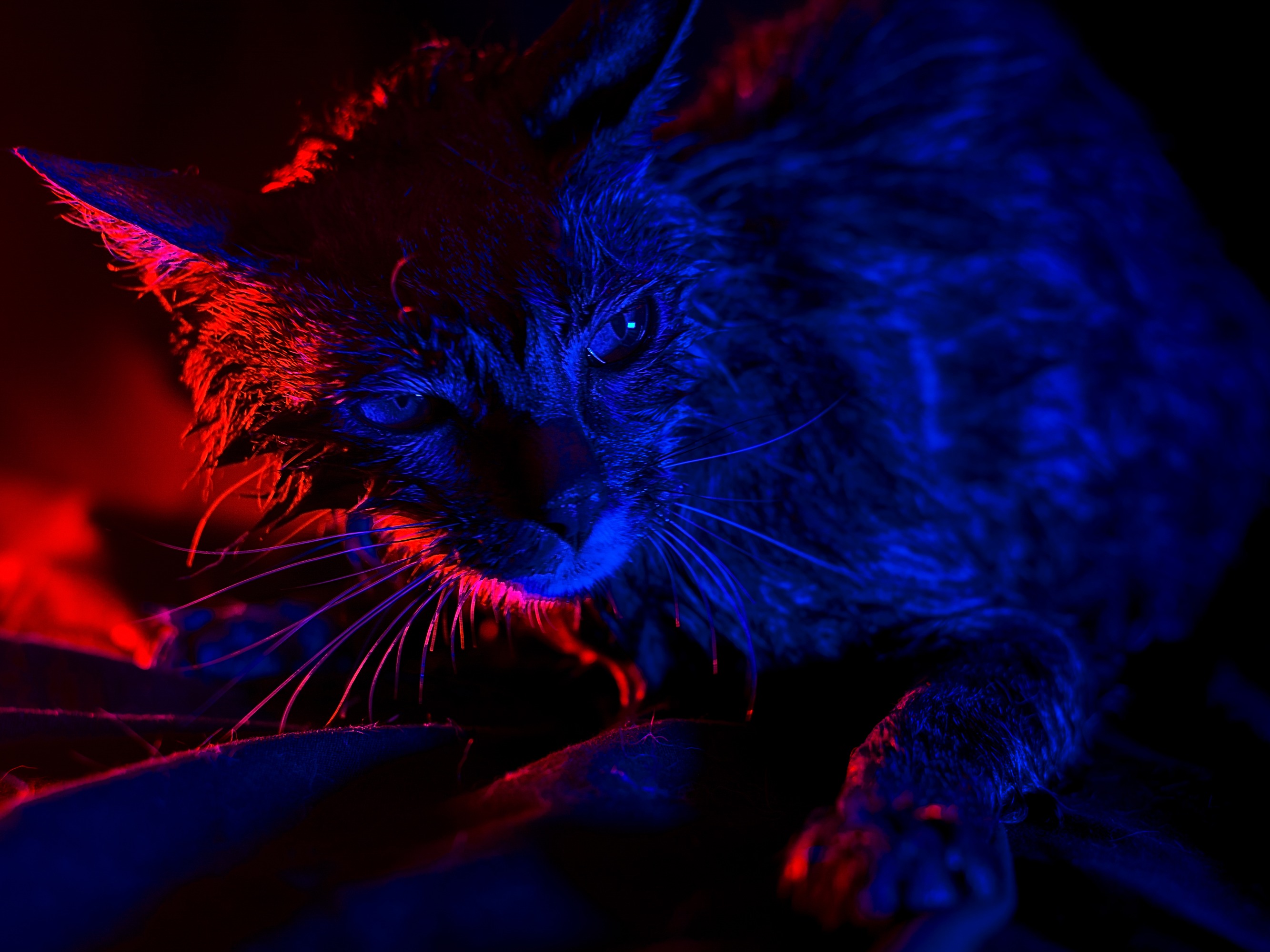 coco硬照_LOWGER-站酷ZCOOL