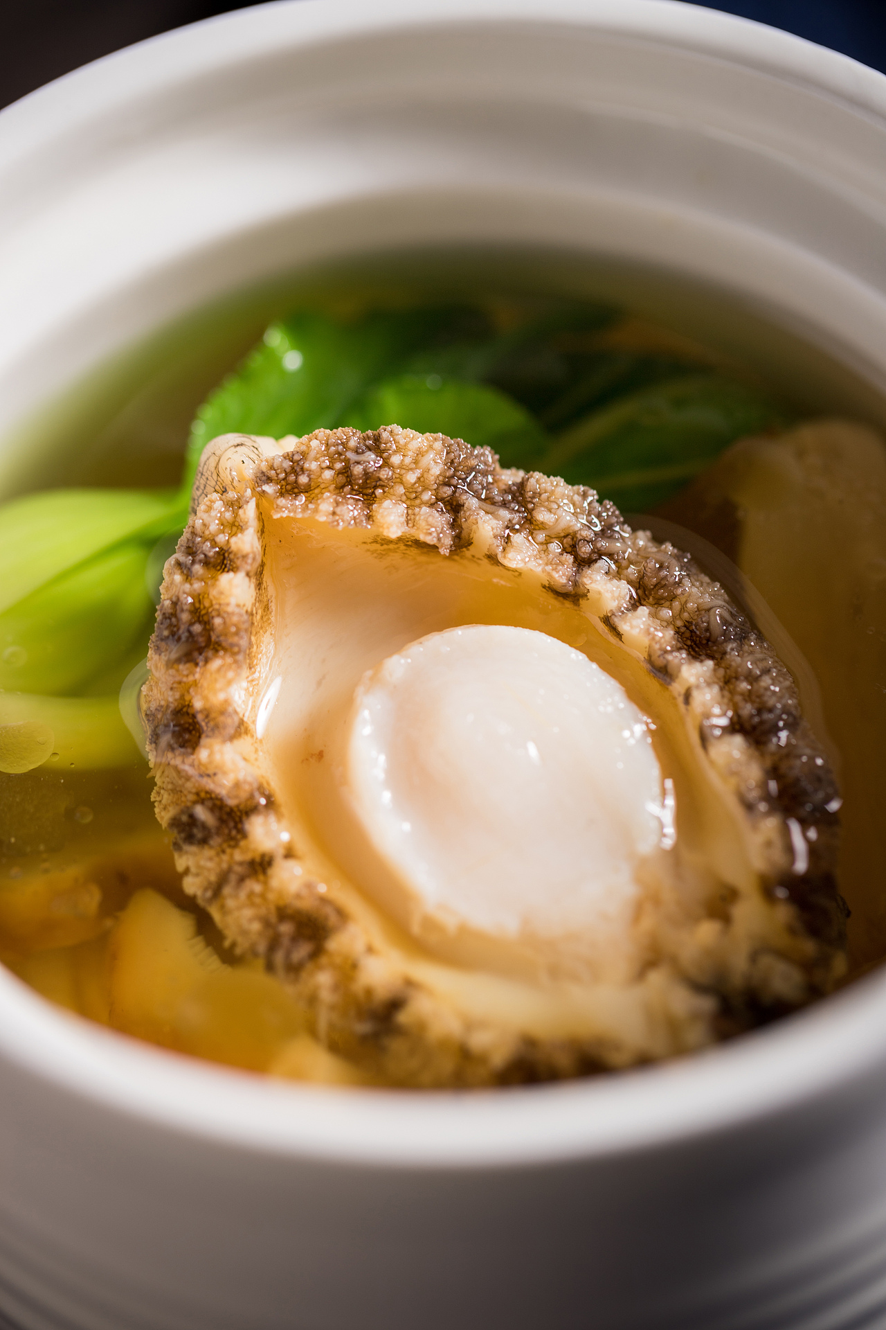 鲍鱼/海参/佛跳墙_SJCM2023-站酷ZCOOL