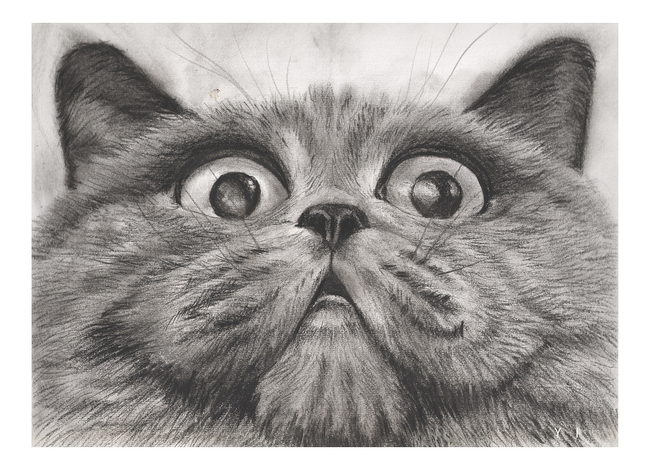 喵~~没有喵就画一只吧_CXL陈小懒-站酷ZCOOL