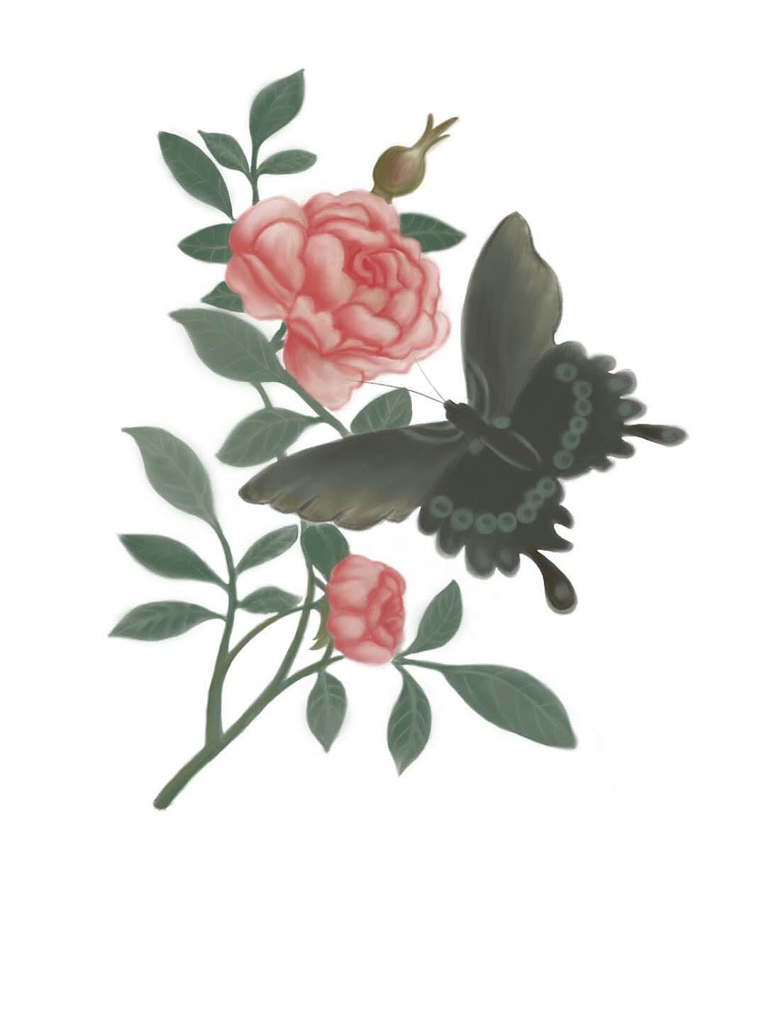 练习_东隅sy-站酷ZCOOL