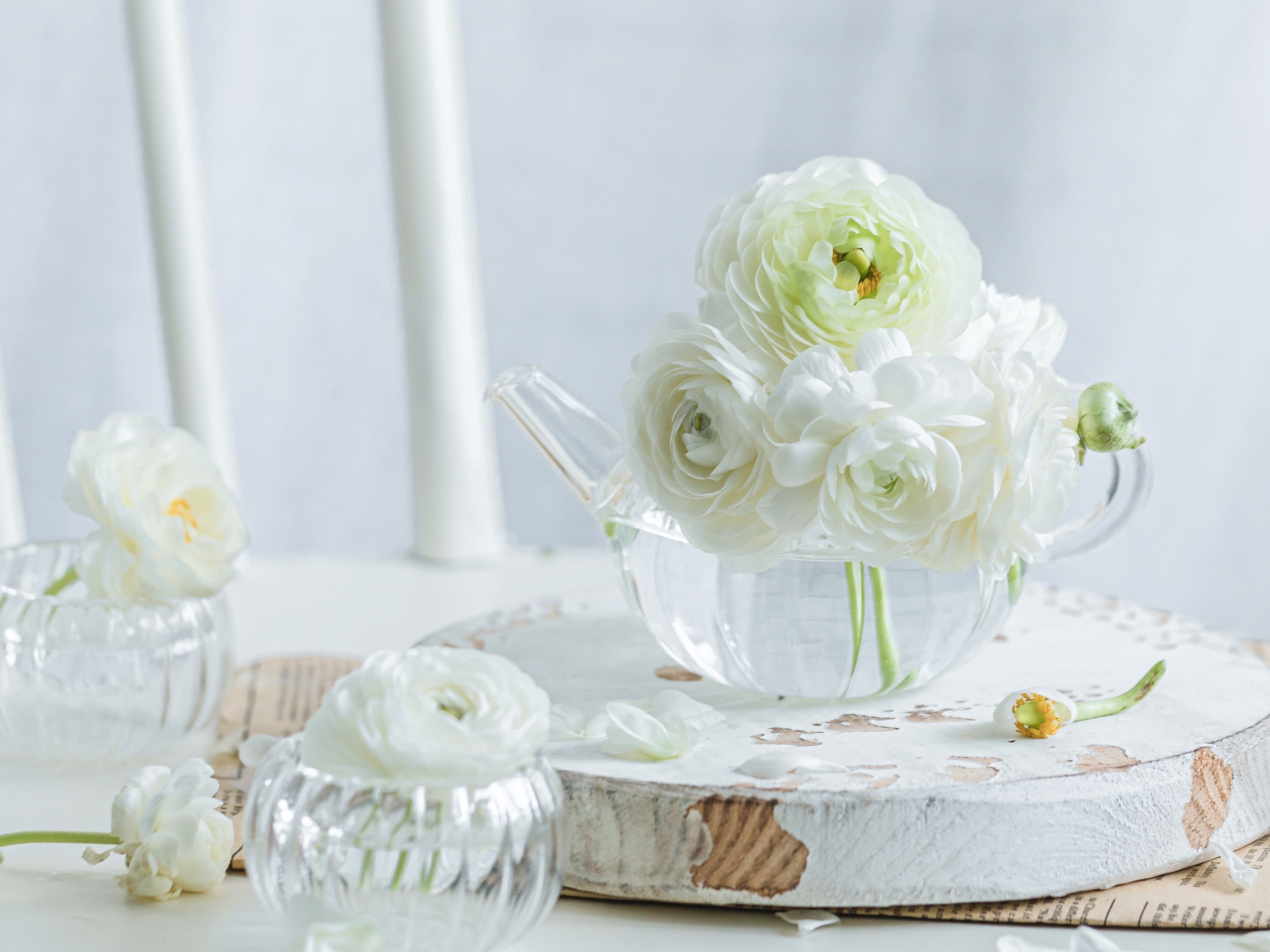 遇见春天_na_shi_na_ke-站酷ZCOOL