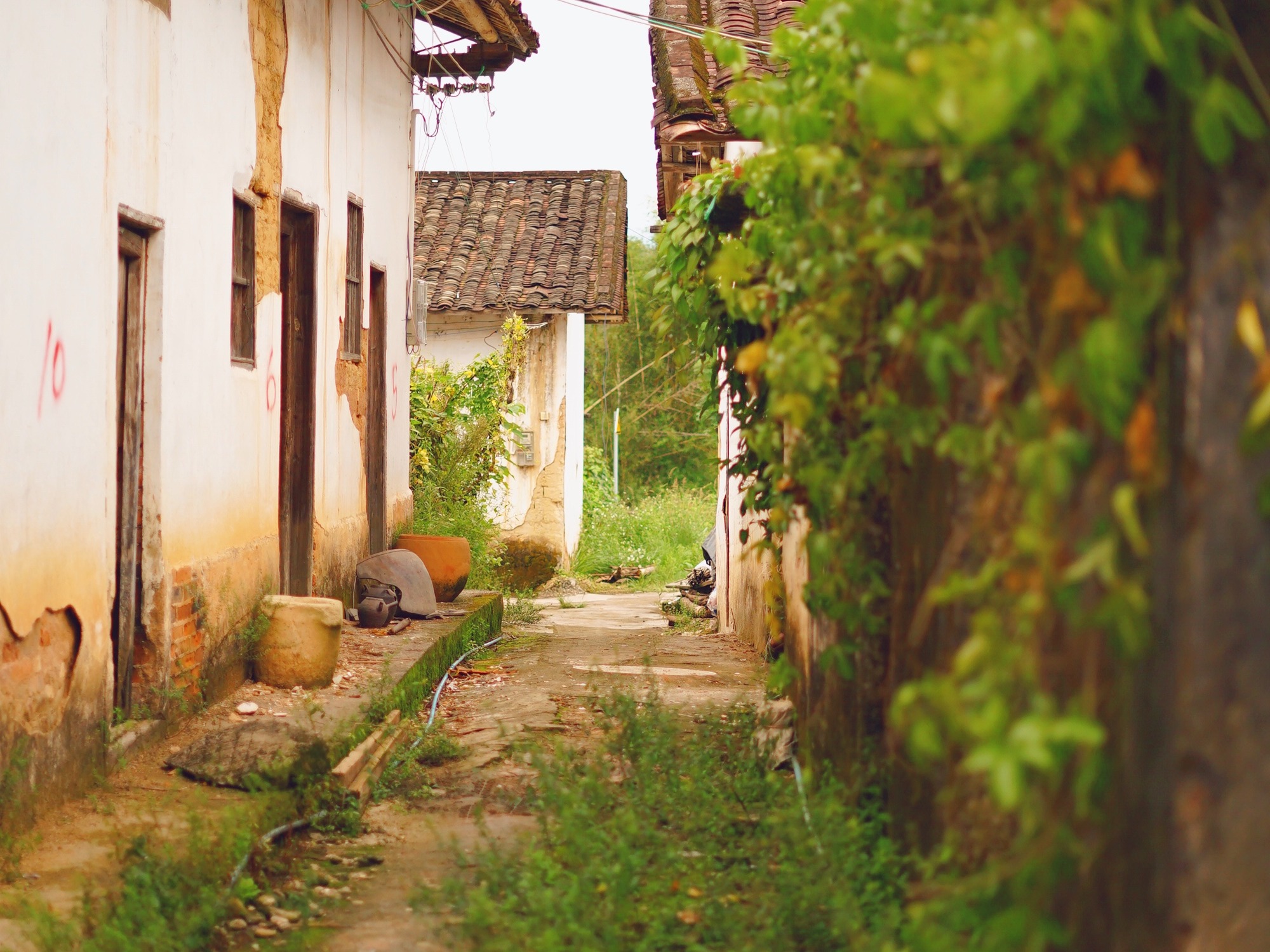 儿时村庄_TYX萱儿-站酷ZCOOL