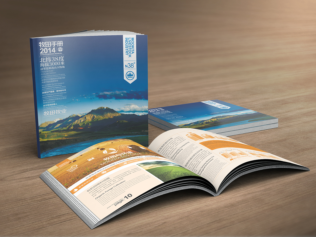 mookita画册_安宁aiden-站酷ZCOOL