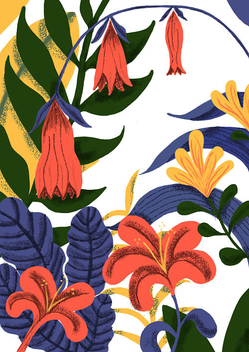 花朵_LceyLi-站酷ZCOOL