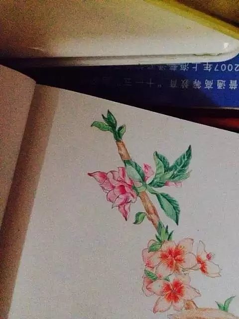 这些年的临摹作品_学画画的yuna-站酷ZCOOL